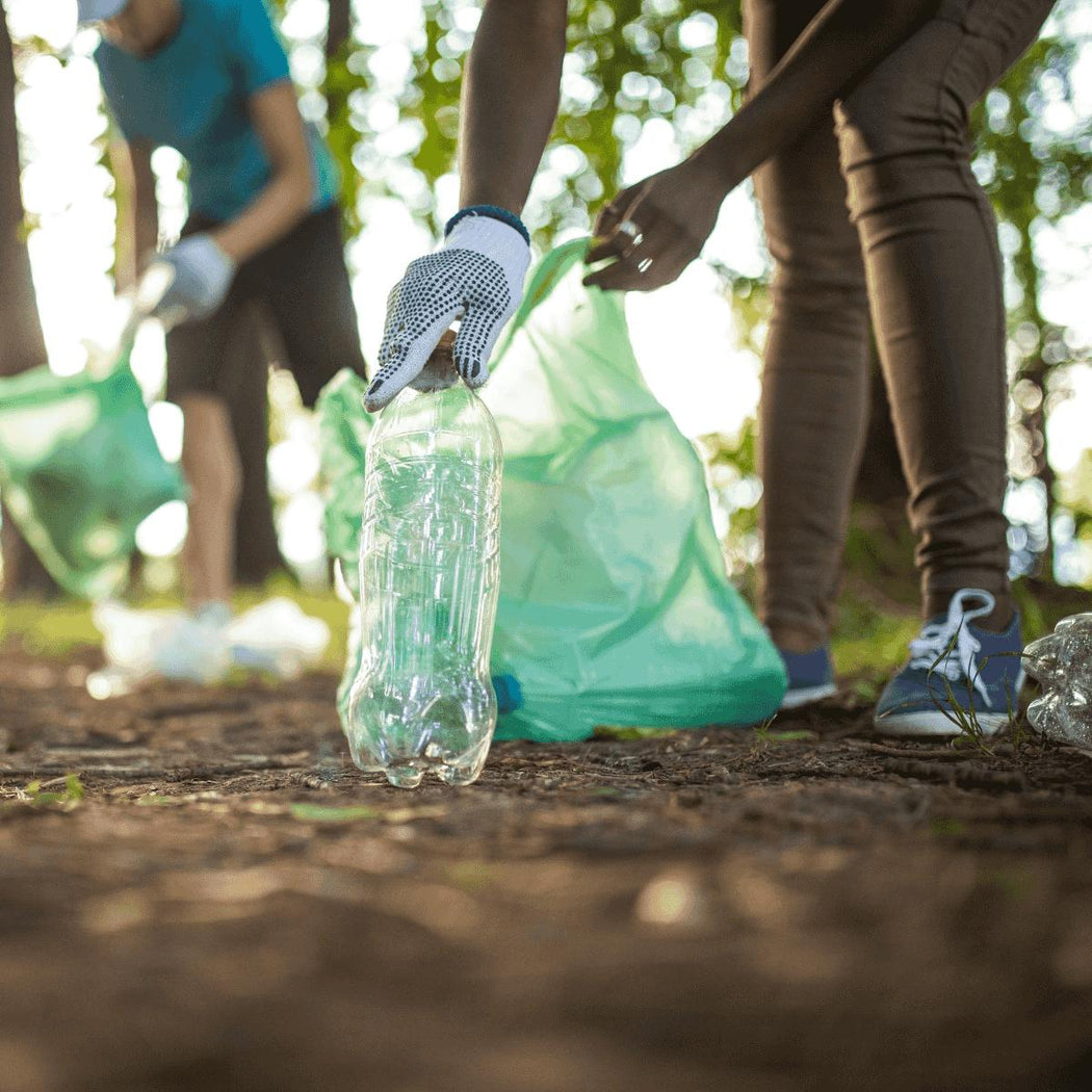 Nouveautés Cordage Tennis - Fresh from the Temple – Temple du cordage